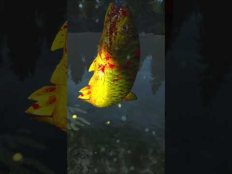 Tyrannotrout monster Trout, Fishing planet pc