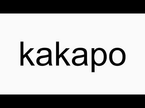 How to pronounce kakapo