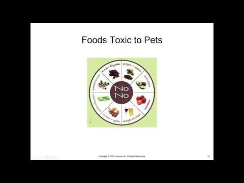 McCurnin'sChapter 27, Toxicology