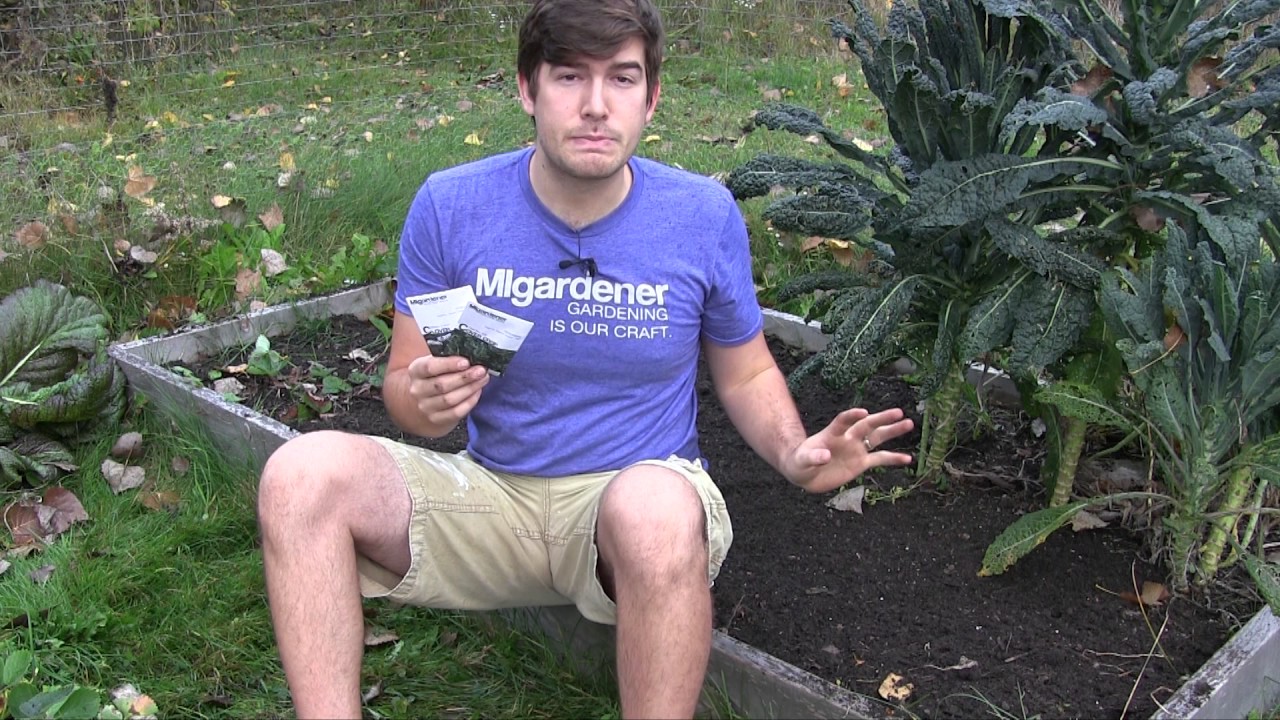 Cover crops! What is best, How to Plant, When to plant