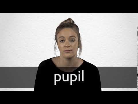 How to pronounce PUPIL in British English