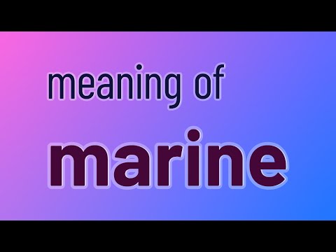 Marine - 74 English Vocabulary Flashcards