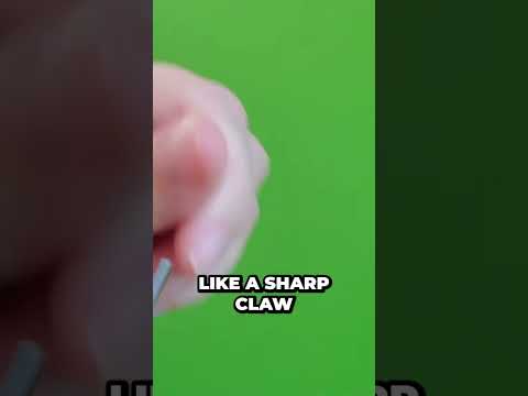 Uncover the Secret Instrument Dentists Use for Adhesive Removal