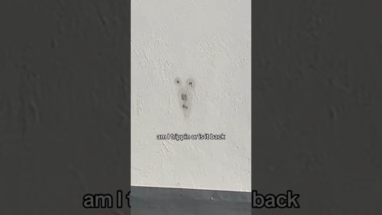 The Polar Bear is back.