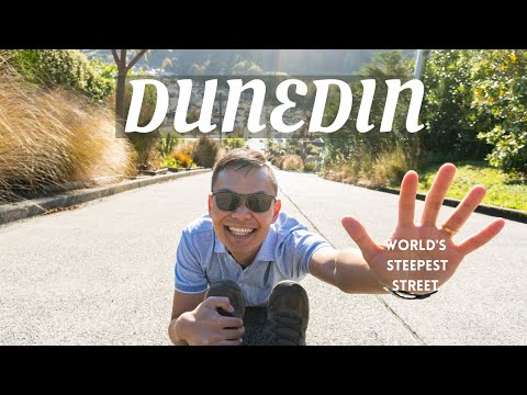 Exploring Dunedin and our Pregnancy Announcement | New Zealand Autumn Roadtrip | Ep 08