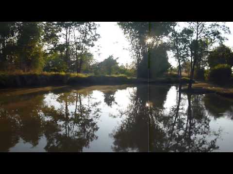 Beautiful countryside - Khok Klang, Plapak, Nakhon Phanom - Thailand
