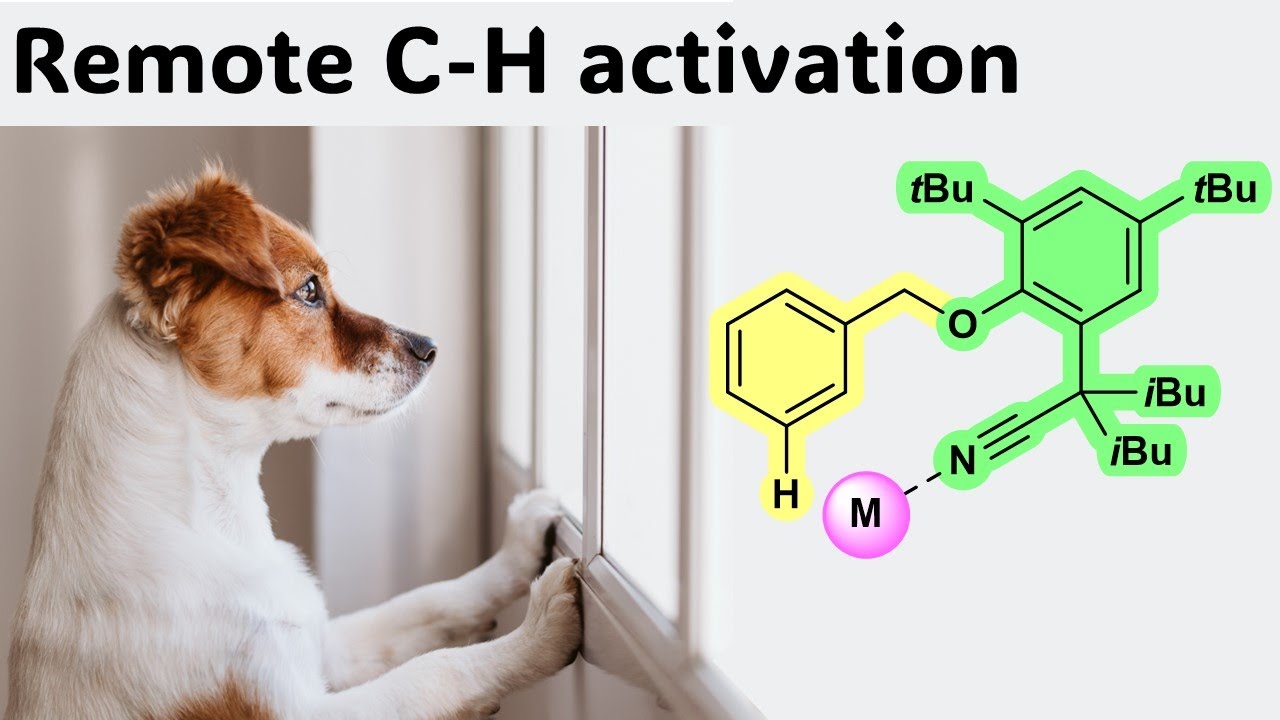 C-H activation at remote positions