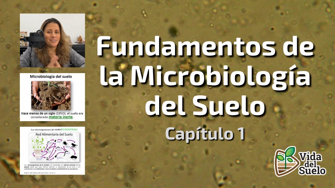 Fundamentals of Soil Microbiology - Chapter 1 / Armenia Velázquez