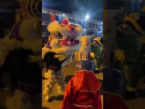 Dragon dance chinese new year in Houston