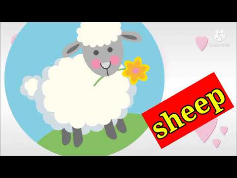 Five Letter Words | Phonics For Kids | Phonics Lessons | 5 Letter PhonicsI Pre School Kindergarten