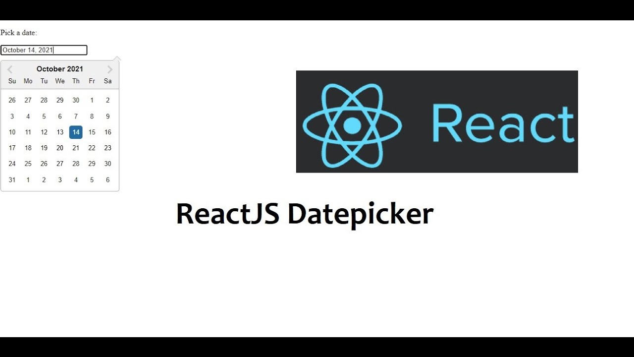 ReactJS Datepicker