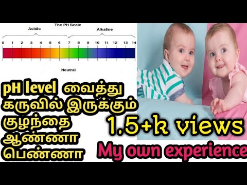 PH Level gender prediction | How to find boy or girl - urine test | PH Level வைத்து ஆண்ணா? பெண்ணா?