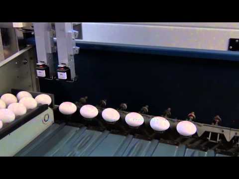 Nuovo Egg Printer - Egg-Jet SOR2-50 on infeed Moba 68