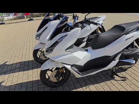 Honda PCX 2025 dx WHITE and Honda PCX 2024 WHITE