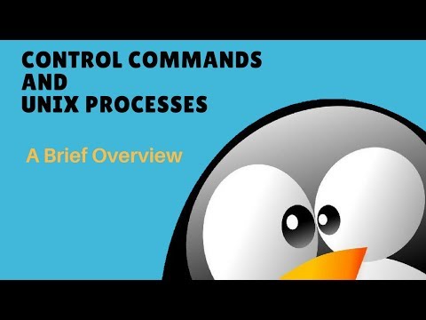 Control Commands and Unix Processes - A brief Overview (Tutorial #2 Part C)