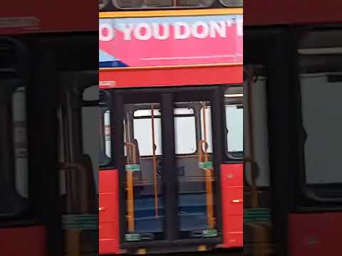 Route 7 at Paddington #bus #paddington #shorts