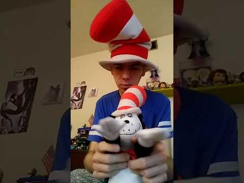A Day For The Dat In The Hat And Cat In The Hat #catinthehat