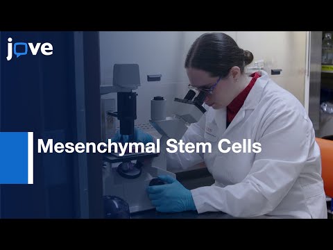 Mesenchymal Stem Cells: Isolation and Expansion | Protocol Preview
