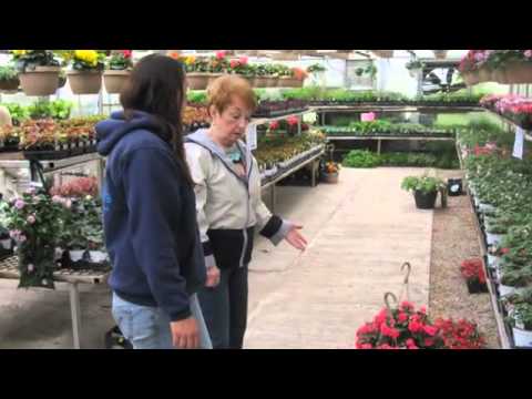 Landscape Center | Milwaukee, WI – Bluemel’s Garden & Landscaping Center