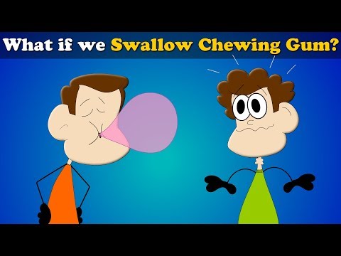 What if we Swallow Chewing Gum? + more videos | #aumsum #kids #science #education #children