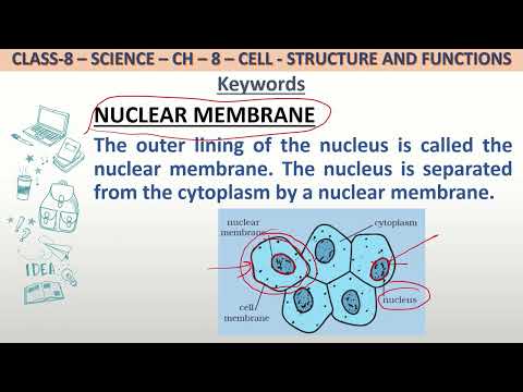 Definition of Nuclear membrane for class 8 science.