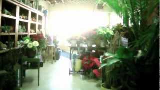 3 Best Florists in Peterborough, ON - Expert Recommendations