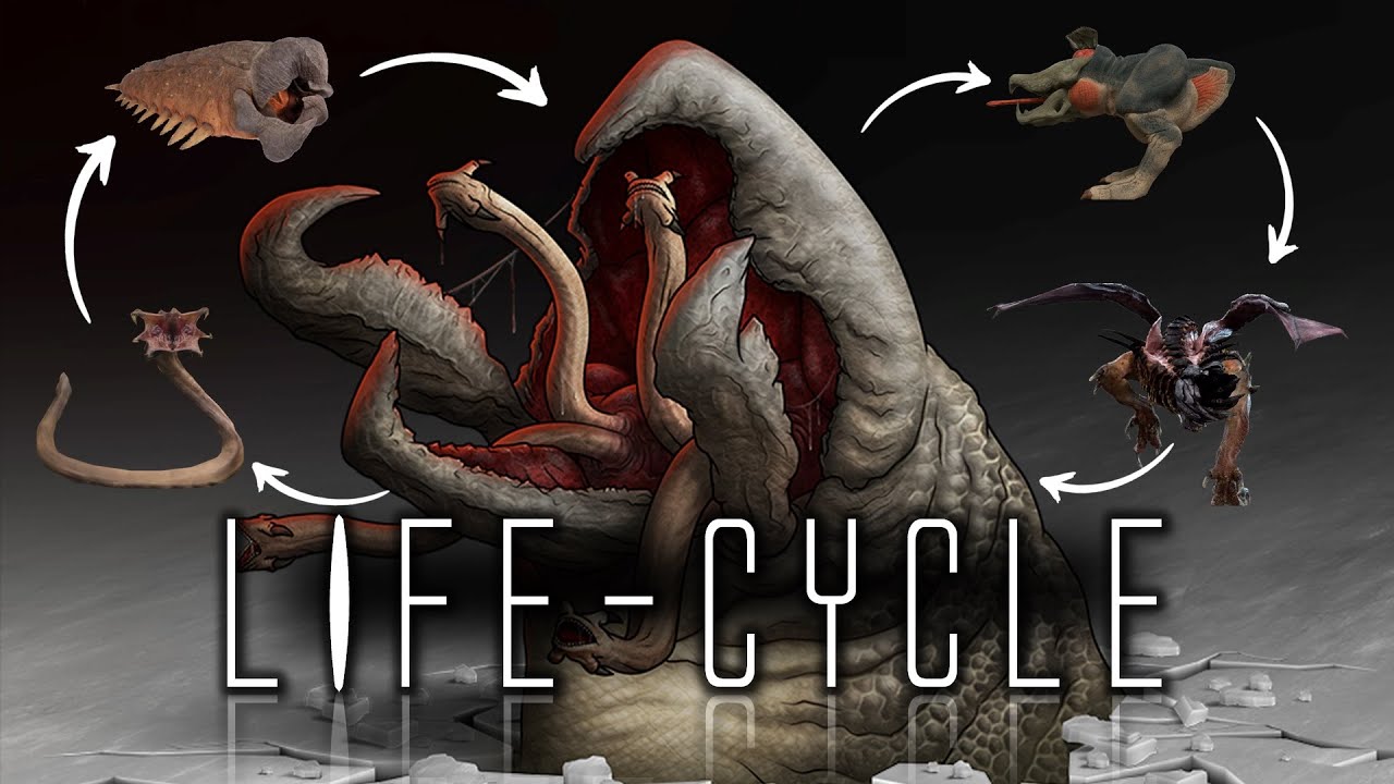 Graboids - 6 Stage life cycle + Origins Explained!!
