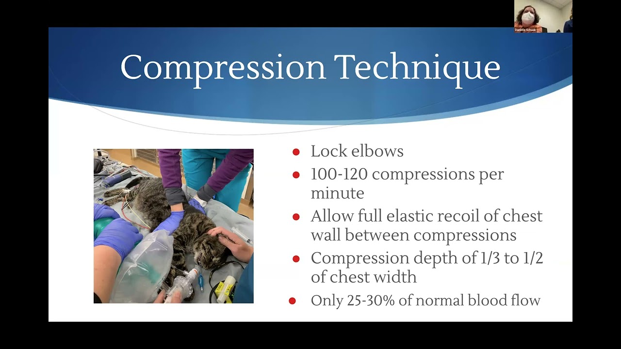 CPR RECOVER Guidelines 2025