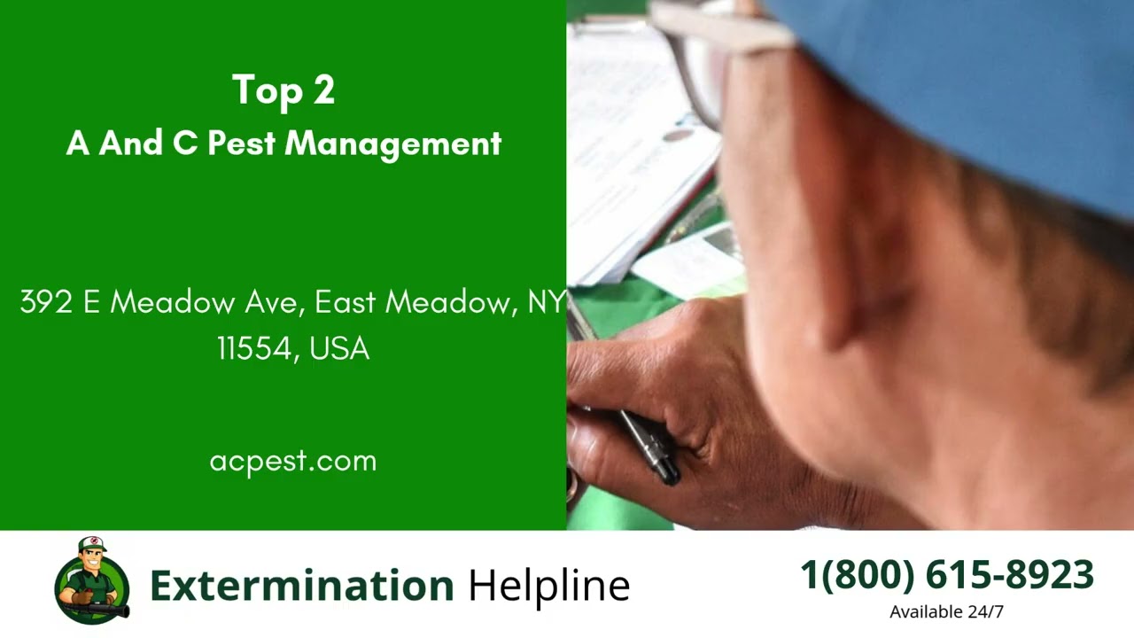 Top 3 Exterminators in Bridgeport