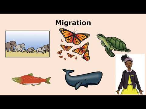 BEHAVIOURAL ADAPTATION OF ANIMALS
