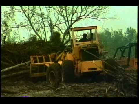 Samsons Island History - City of Satellite Beach
