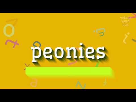 How to say "peonies"! (High Quality Voices)