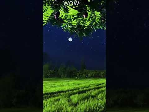 Beautiful night⛺️🌃 nature🗻🚞 view | satisfying and relaxing ⛲️🌄view @nature
