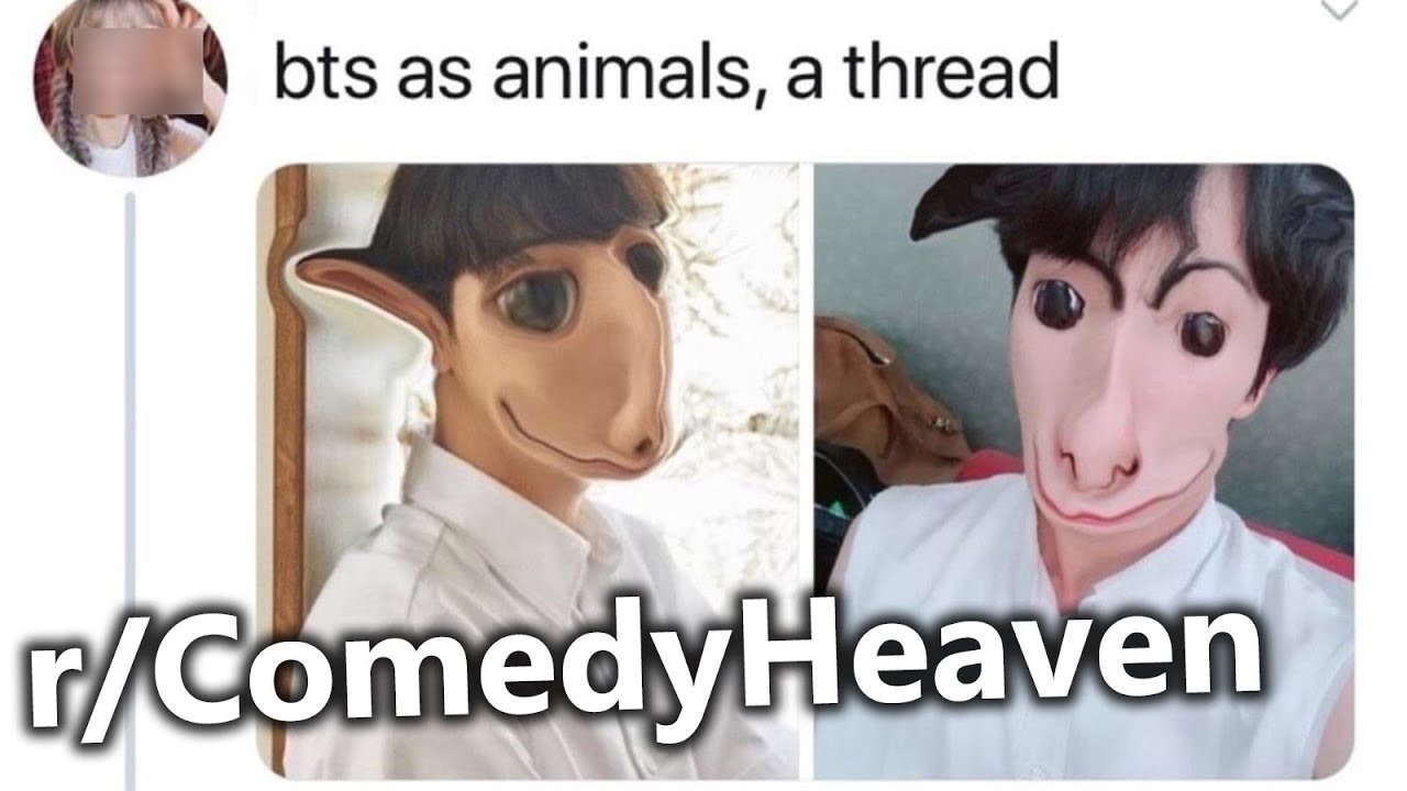 r/ComedyHeaven at 3am | (Cringe) BTS as animals