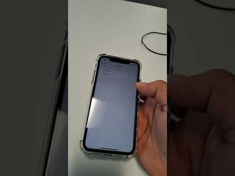 Torch shortcut on Apple iphones