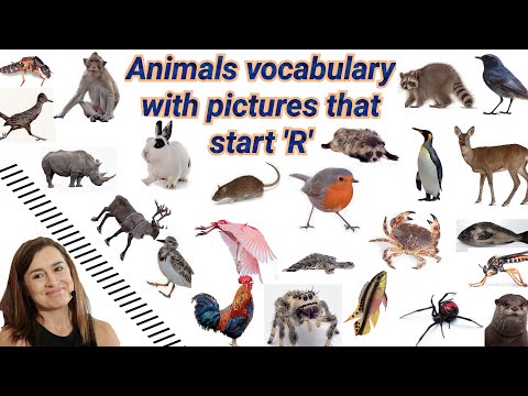 Learn Vocabulary 'R' Name all Animals with Pictures Animals English Vocabulary with Pictures ever