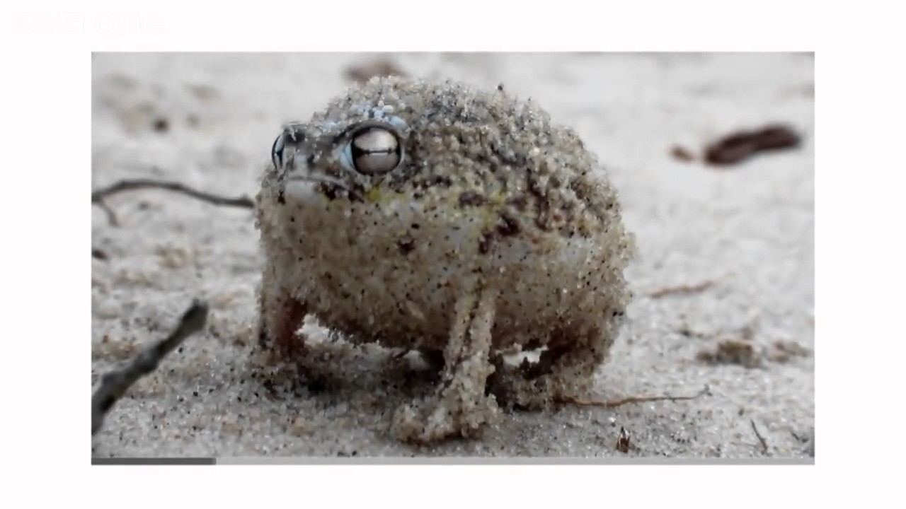 A very angry golem