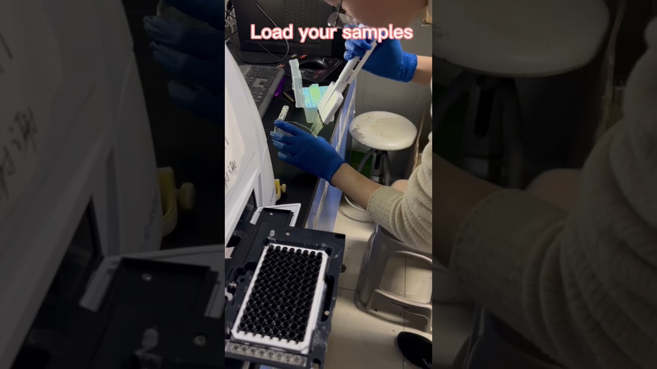 How to use a microplate reader?