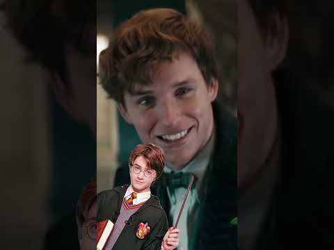 Newt Scamander Was In Harry Potter?!