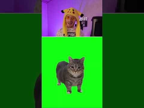 Sound effects of [Spinning Cat] W&W - OIIA OIIA #shorts