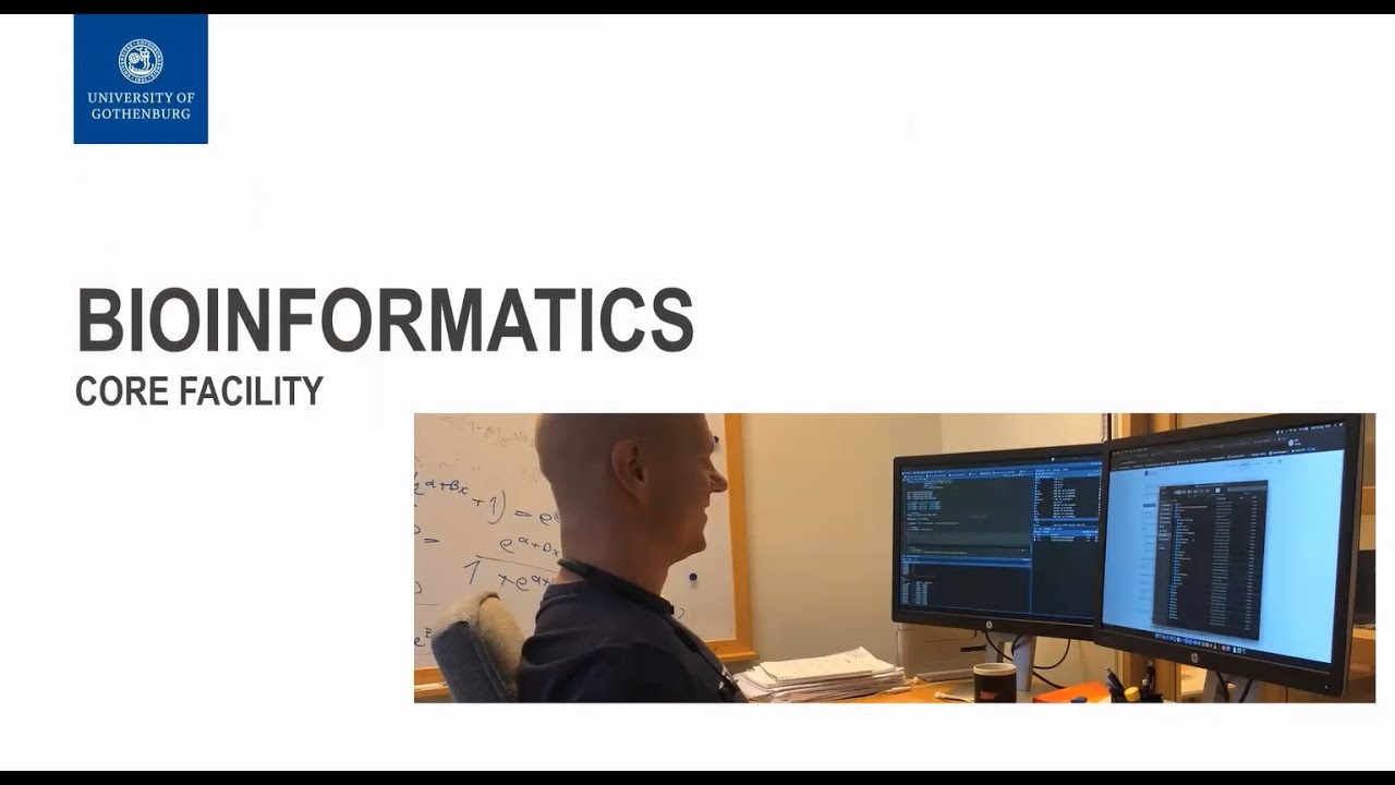 Bioinformatics Core Facility