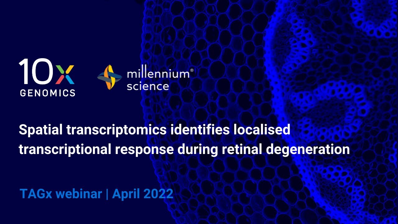 10x MS TAGx April 2022 | Spatial transcriptomics identifies localised transcriptional response