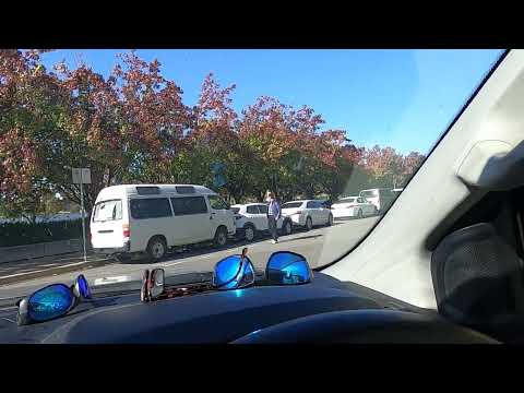 Amazing car parking with no birds car rental