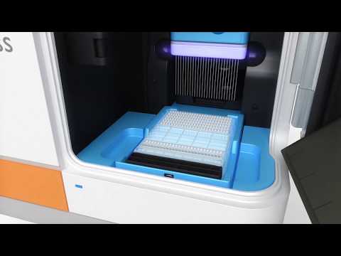 Immunoassays and Total Protein Detection in the Same Capillary