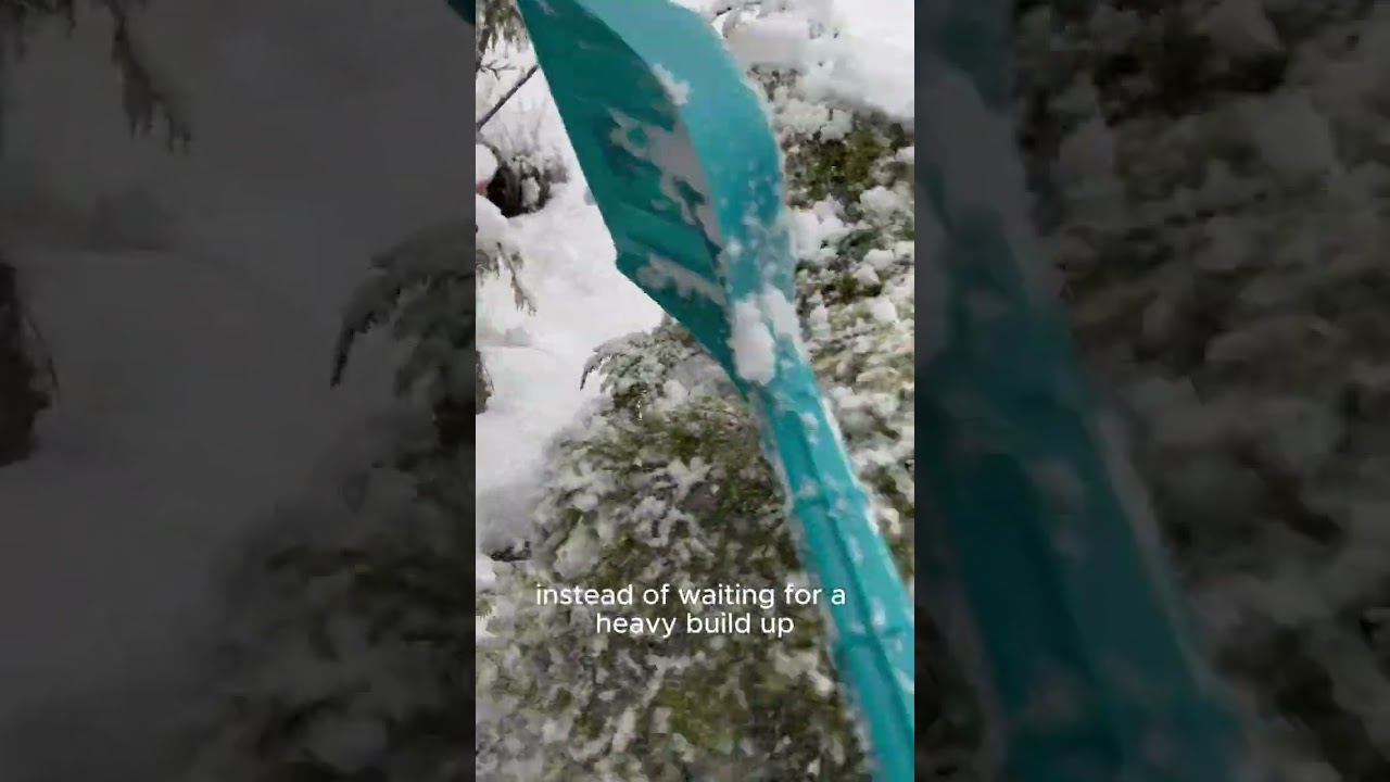 This Simple Winter Tree Hack Could Save Your Garden