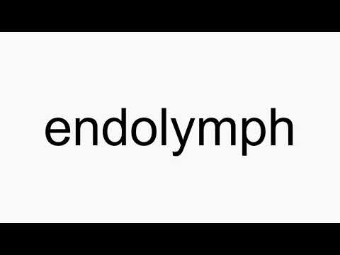 How to pronounce endolymph