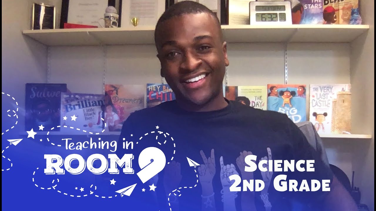 Parts of a Plant | 2nd Grade Science | Teaching In Room 9