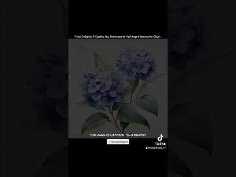 Hydrangea Clipart now available in my shop! | Customizable Stems with Commercial Rights