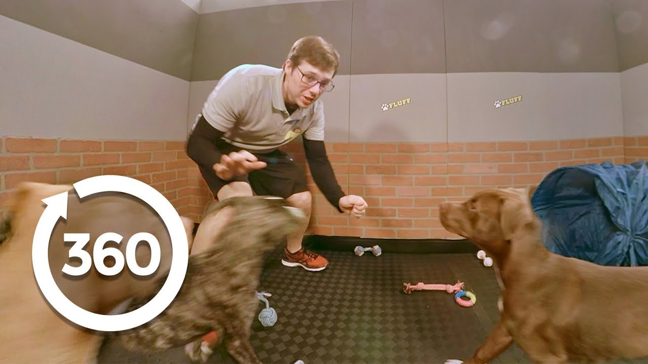 Training Camp, Part 2 (360 Video)