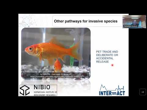 INTERACT Invasive fish